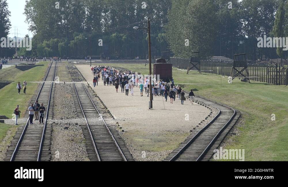 Auschwitz train Stock Videos & Footage - HD and 4K Video Clips - Alamy