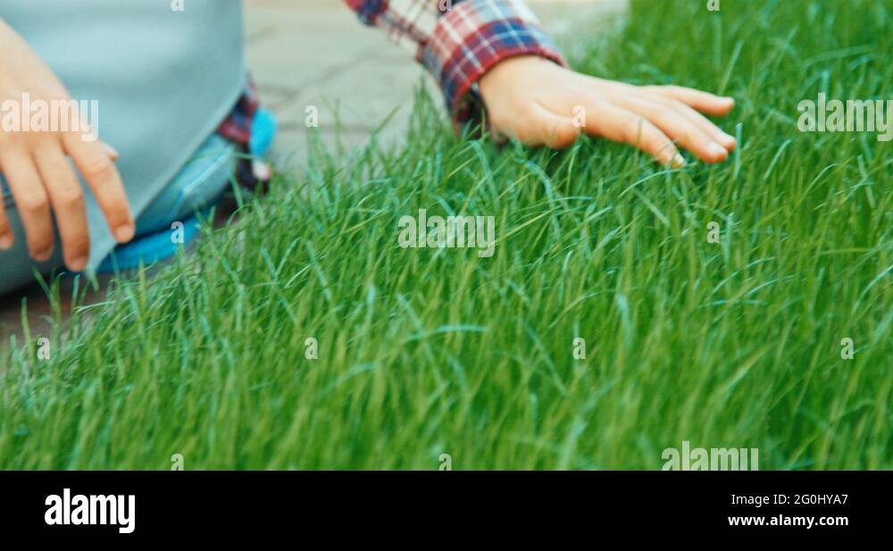 Child touching grass Stock Videos & Footage - HD and 4K Video Clips - Alamy