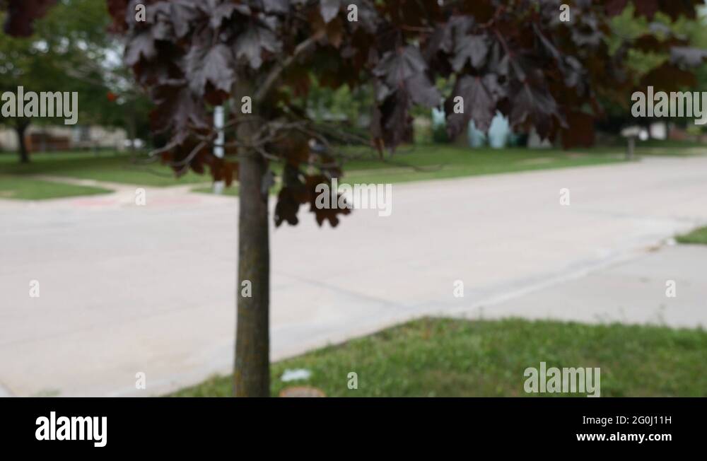 Fall rot Stock Videos & Footage - HD and 4K Video Clips - Alamy