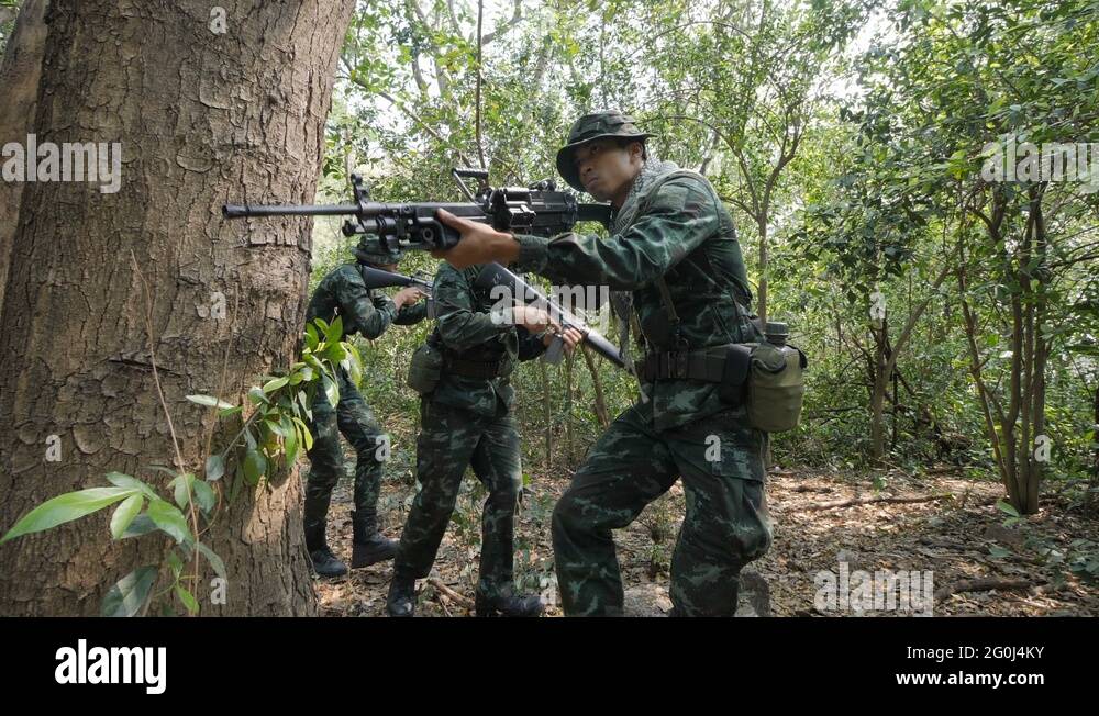 Rifle ready Stock Videos & Footage - HD and 4K Video Clips - Alamy