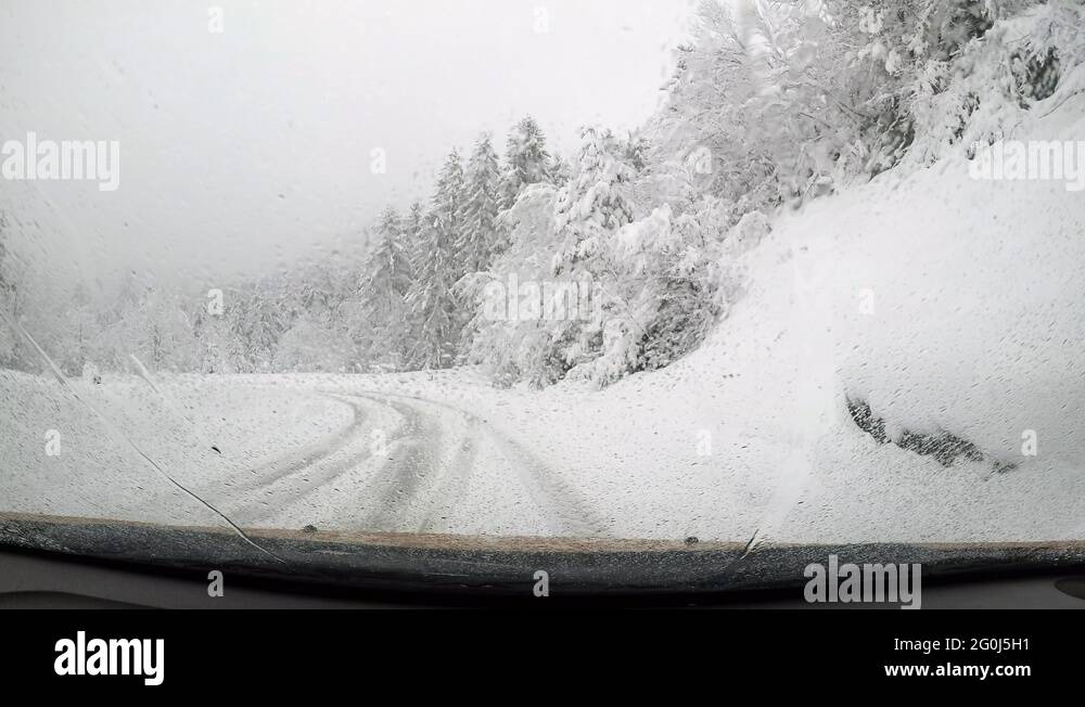 Forest driving tree trees road scenic drive Stock Videos & Footage - HD ...