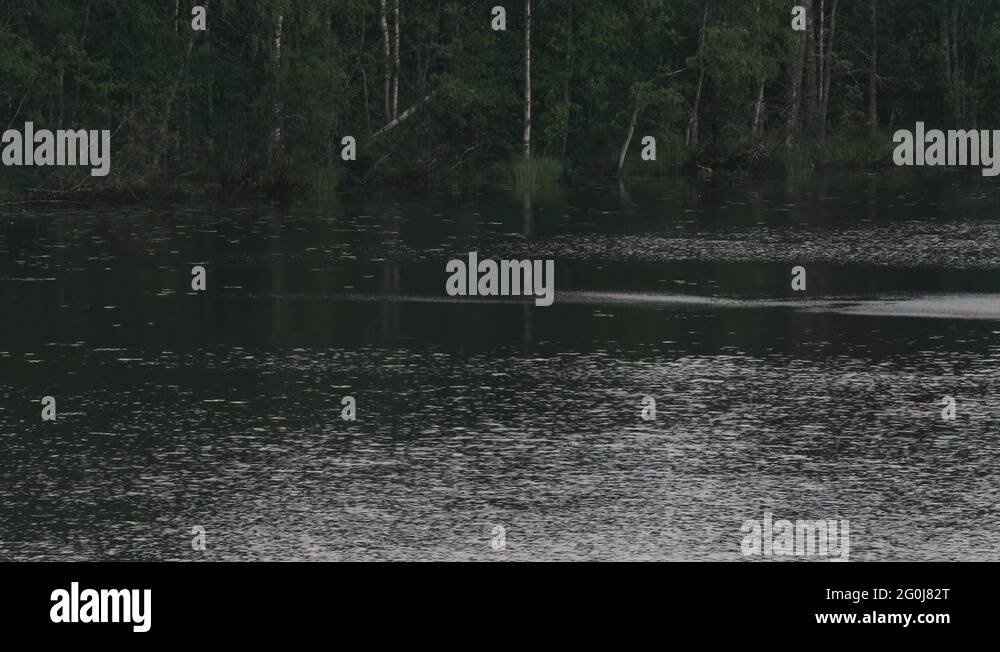 weak rain falling on lake water surface Stock Video Footage - Alamy