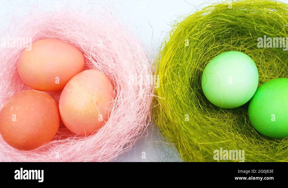Blue color nest Stock Videos & Footage - HD and 4K Video Clips - Alamy