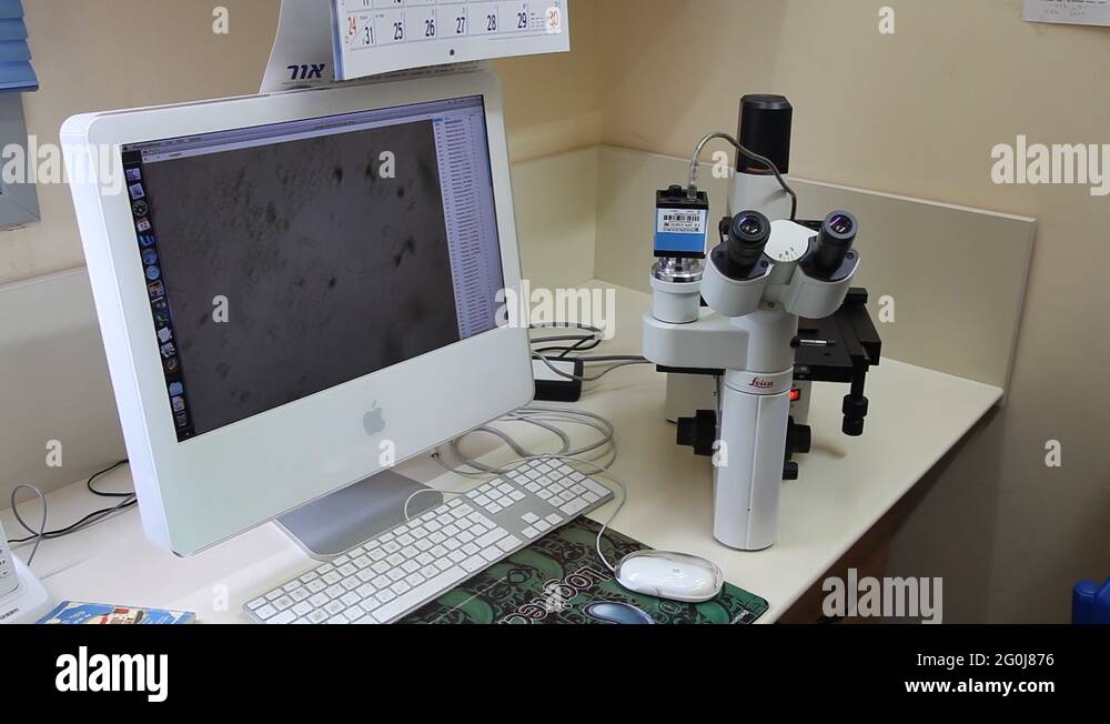 A system for identifying and counting micro plankton and algae from the ...