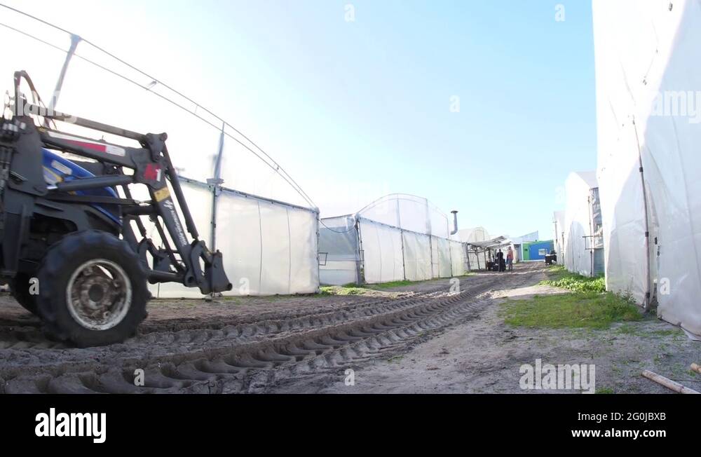 tractor working in the middle of a greenhouse farm slow motion 4k Stock ...