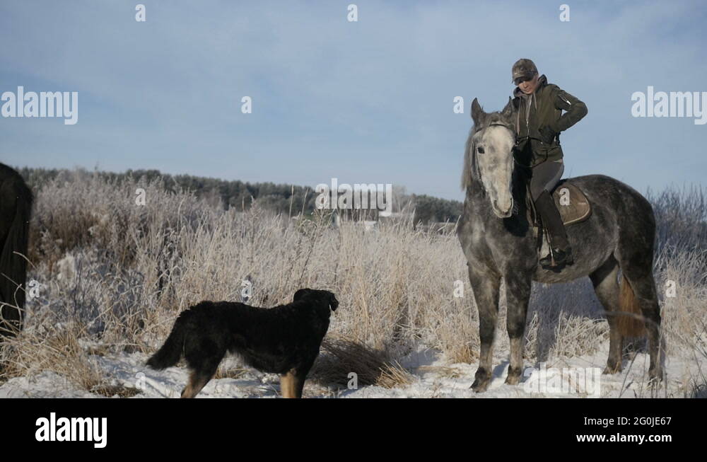 Dog hamlet Stock Videos & Footage - HD and 4K Video Clips - Alamy