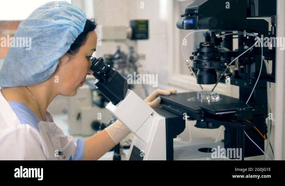 Microbiologist microscope Stock Videos & Footage - HD and 4K Video ...