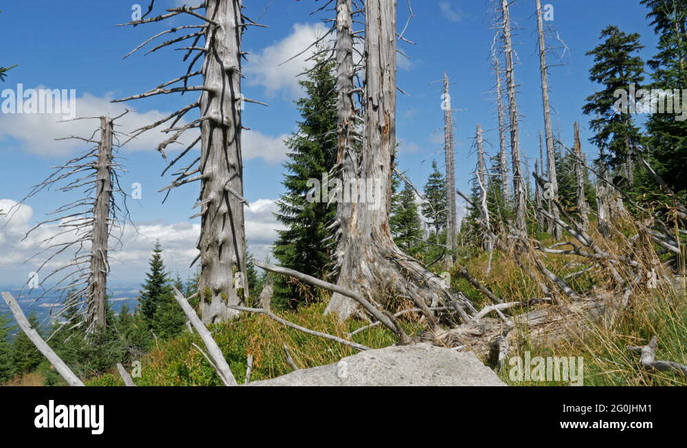 Sulfur air pollution Stock Videos & Footage - HD and 4K Video Clips - Alamy