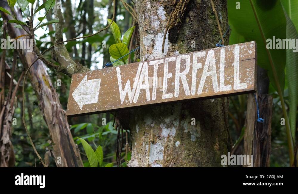 Welcome to Waterfall Wooden Sign in Tropical Rain Forest Jungle. 4K ...