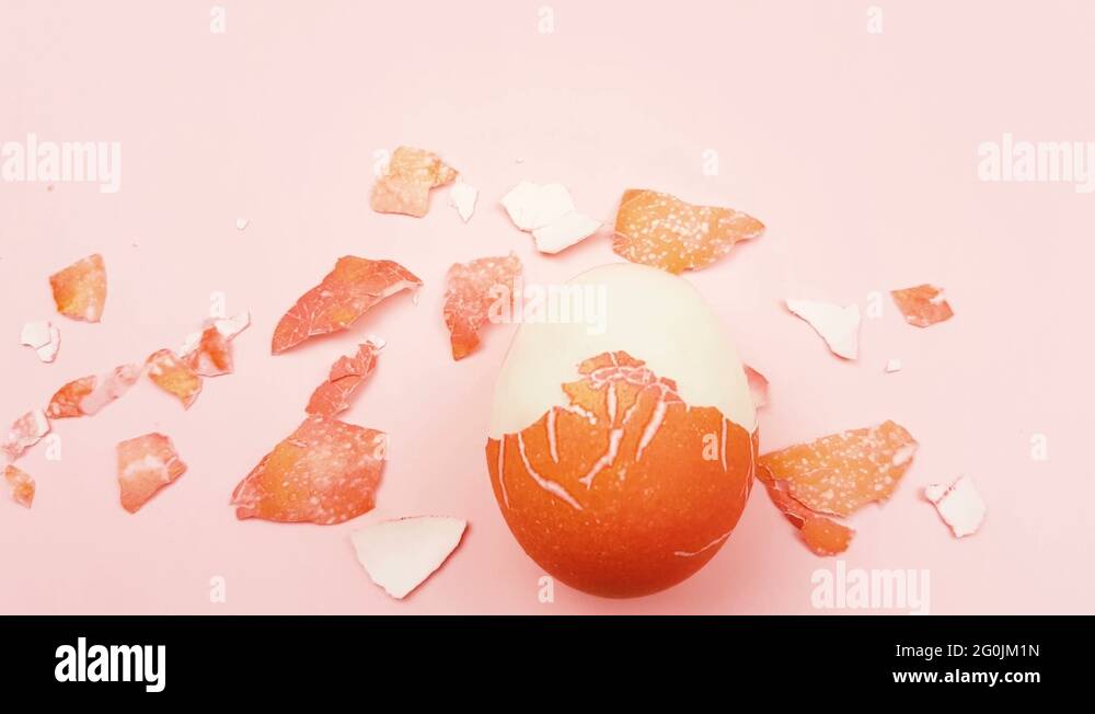 Eggshell color Stock Videos & Footage - HD and 4K Video Clips - Alamy