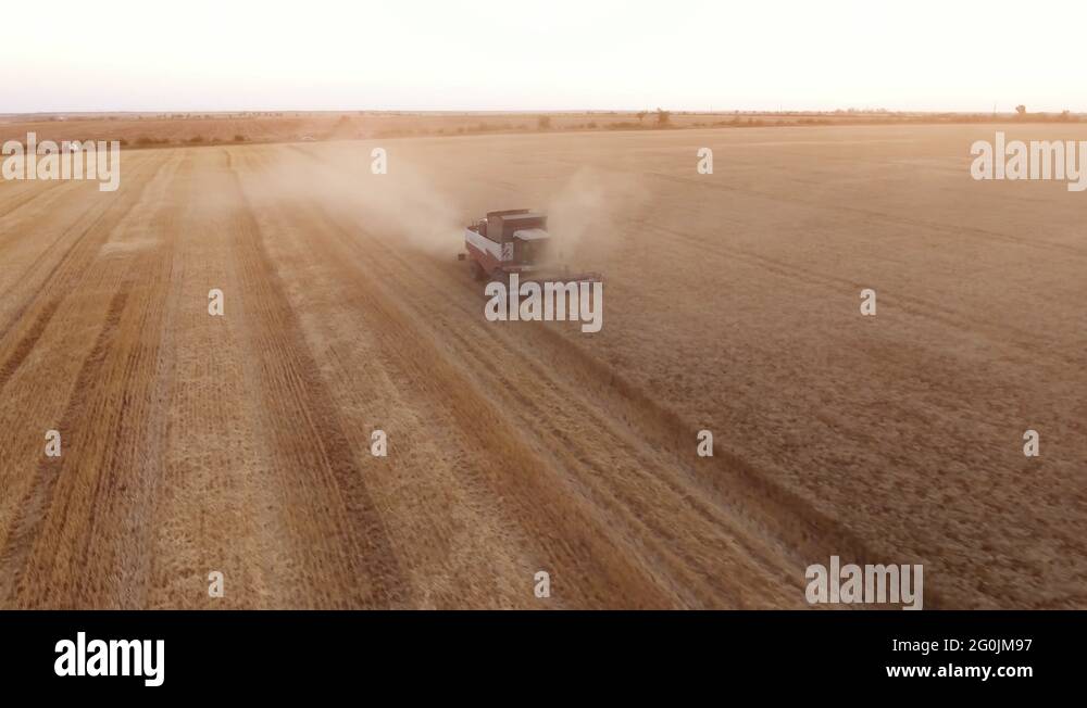 Agro crops Stock Videos & Footage - HD and 4K Video Clips - Alamy