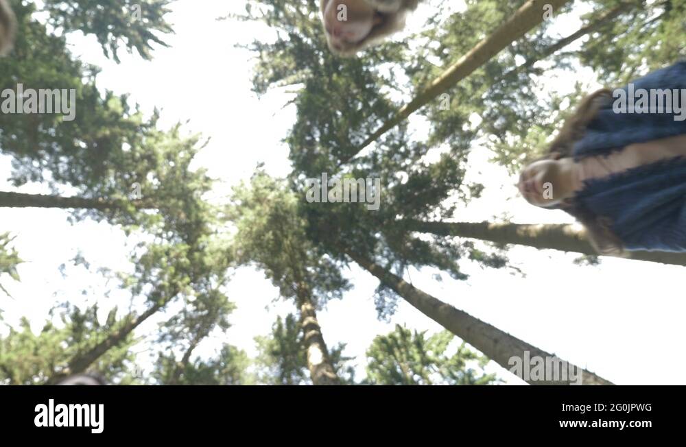Trekkers team Stock Videos & Footage - HD and 4K Video Clips - Alamy
