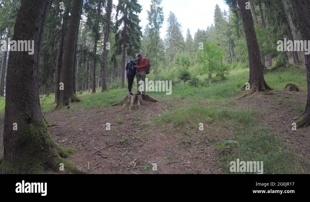 Gps map forest Stock Videos & Footage - HD and 4K Video Clips - Alamy