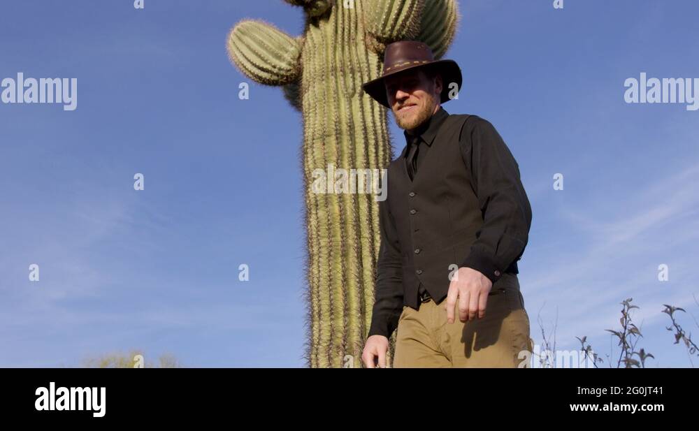 Smiling cactus Stock Videos & Footage - HD and 4K Video Clips - Alamy