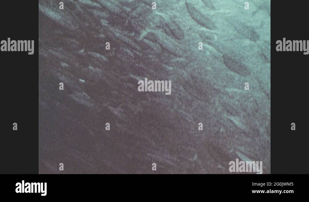 Deep sea vehicle Stock Videos & Footage - HD and 4K Video Clips - Alamy