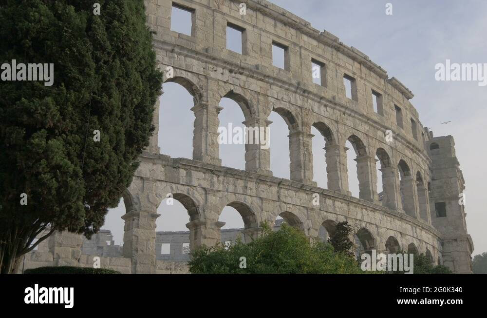 Pula tree Stock Videos & Footage - HD and 4K Video Clips - Alamy