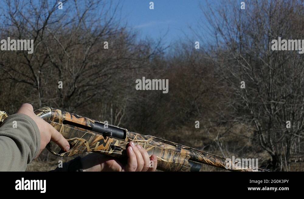 Shotgun cartridges clay shooting Stock Videos & Footage - HD and 4K ...