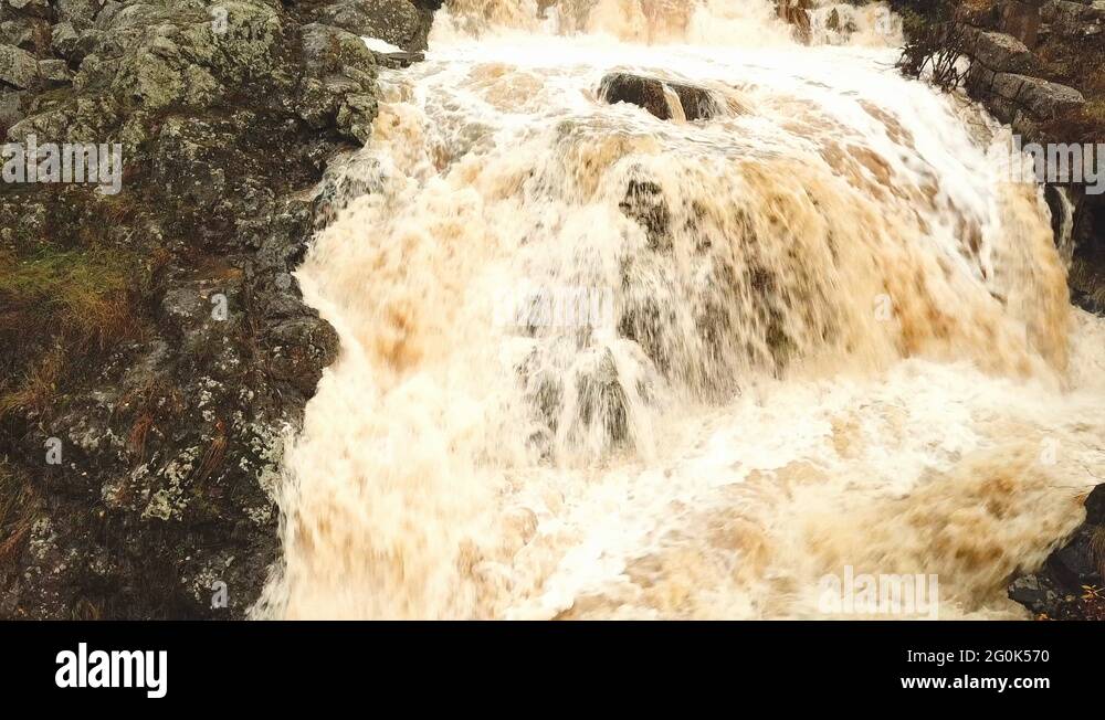 Brownish color Stock Videos & Footage - HD and 4K Video Clips - Alamy