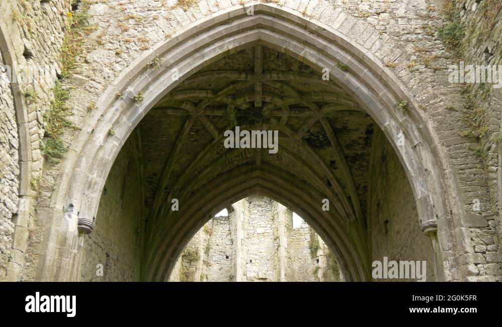 Rib vault ceiling Stock Videos & Footage - HD and 4K Video Clips - Alamy