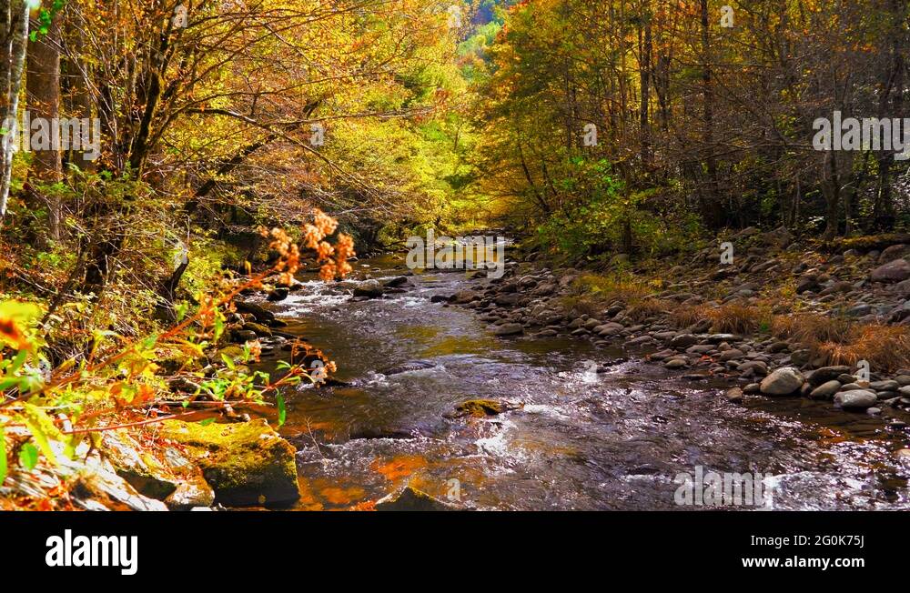 Appalachian mountains stream river Stock Videos & Footage - HD and 4K ...