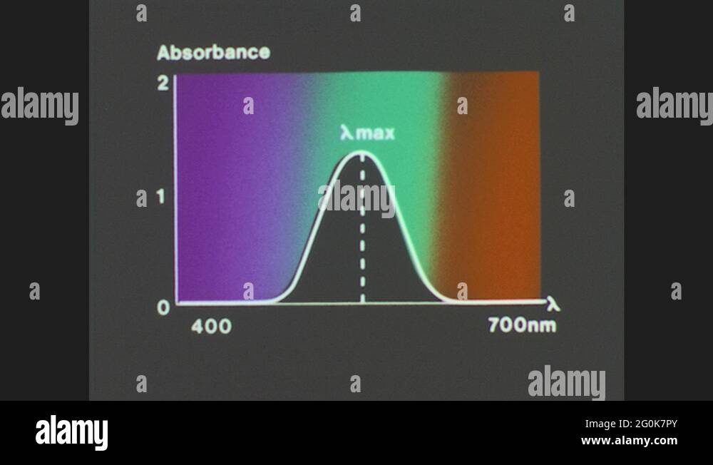 Absorbance measurement Stock Videos & Footage - HD and 4K Video Clips ...