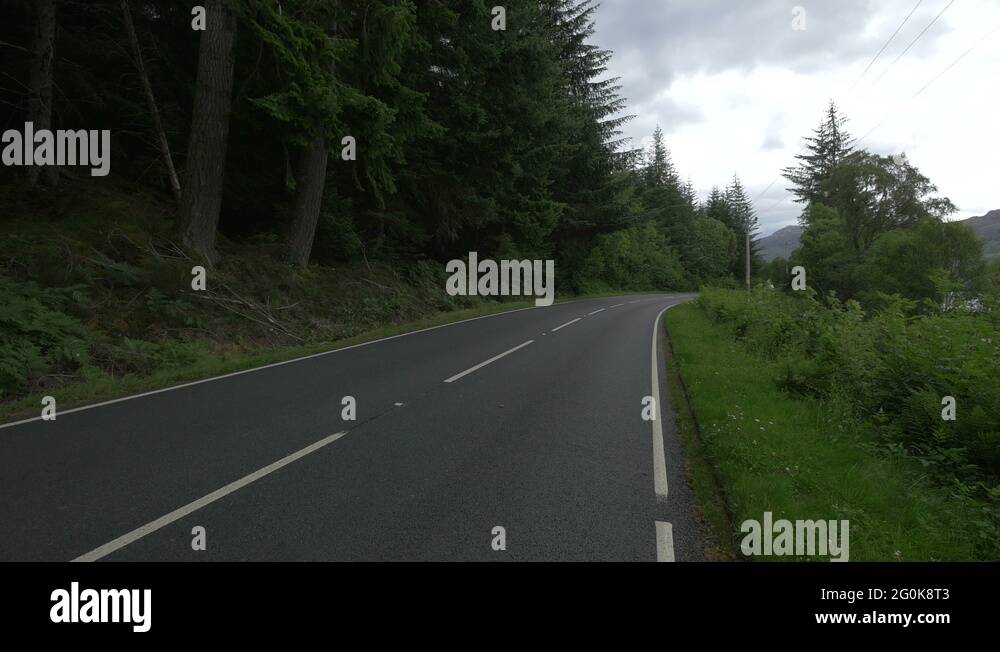 Forest edge road Stock Videos & Footage - HD and 4K Video Clips - Alamy