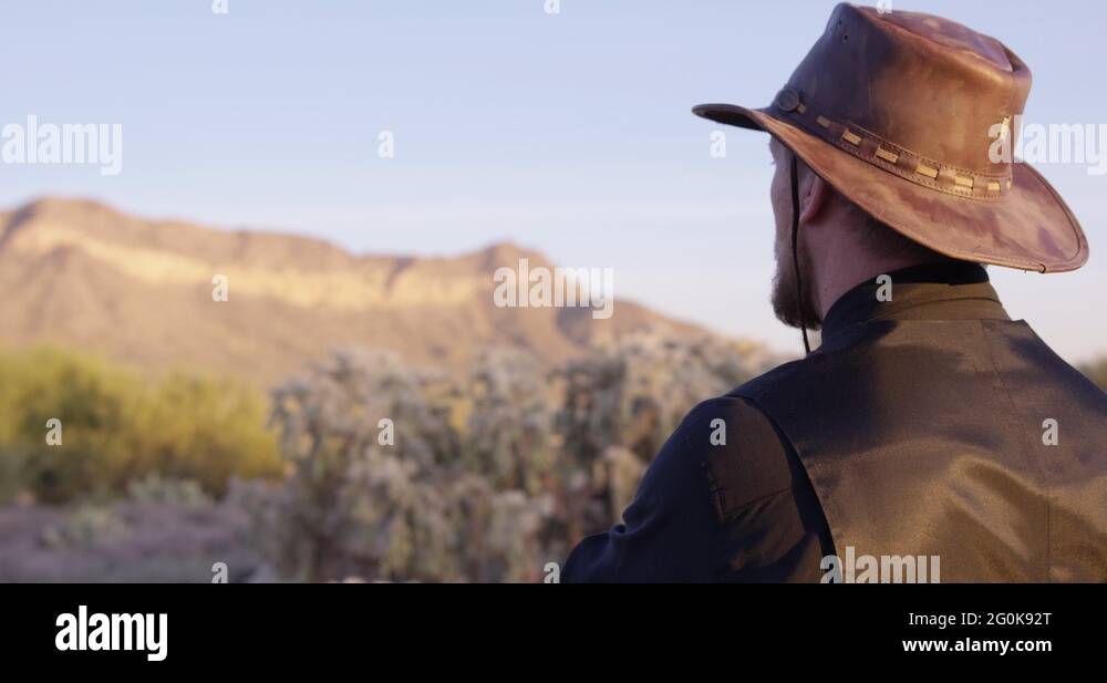 Horse looking over shoulder Stock Videos & Footage - HD and 4K Video ...