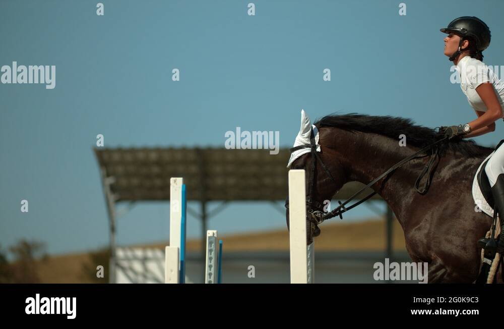 Leaping horse Stock Videos & Footage - HD and 4K Video Clips - Alamy