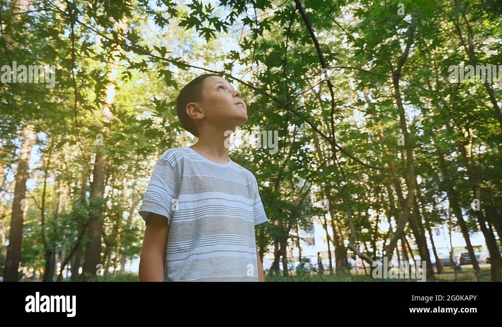 Charmed boy Stock Videos & Footage - HD and 4K Video Clips - Alamy