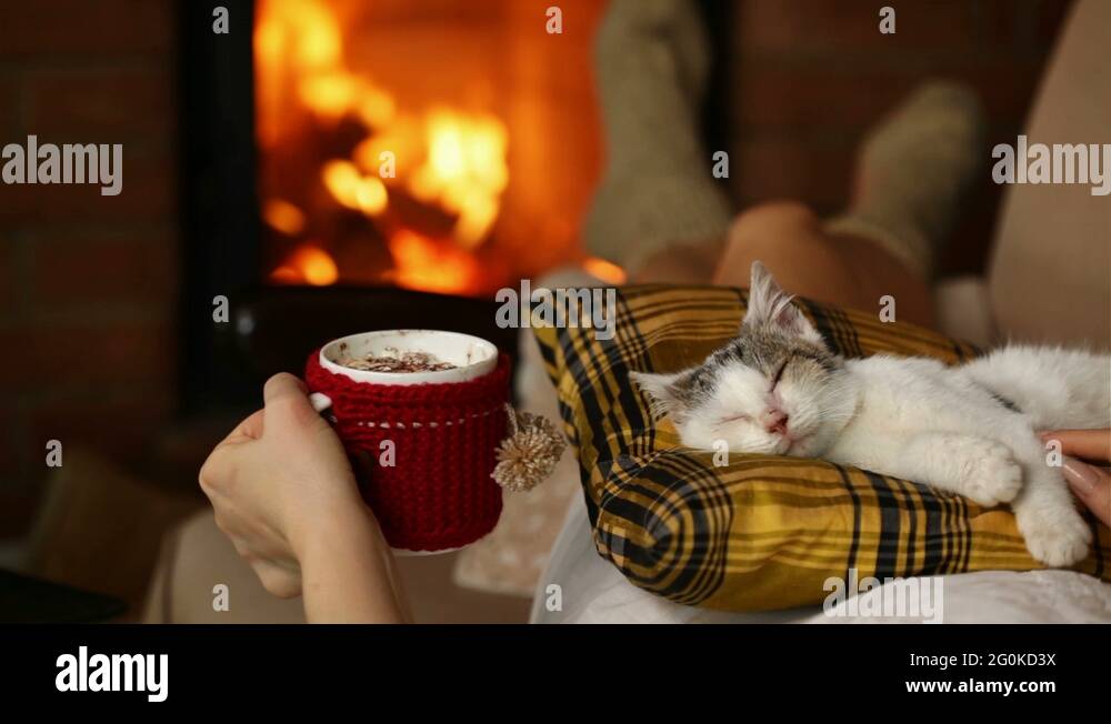 Cat lazy fire Stock Videos & Footage - HD and 4K Video Clips - Alamy
