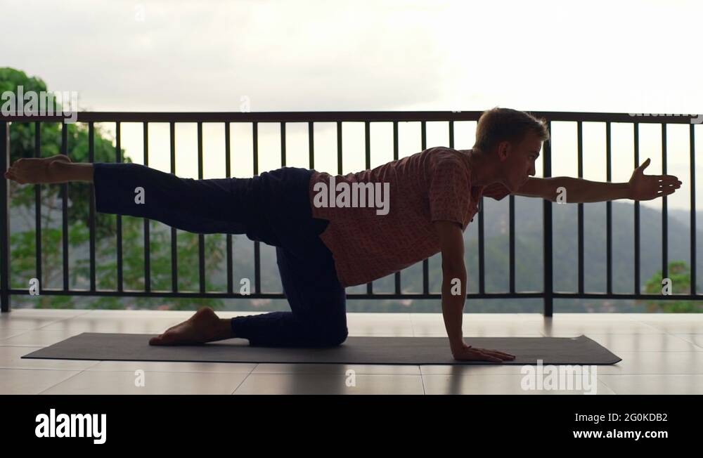 Cat cow pose yoga Stock Videos & Footage - HD and 4K Video Clips - Alamy