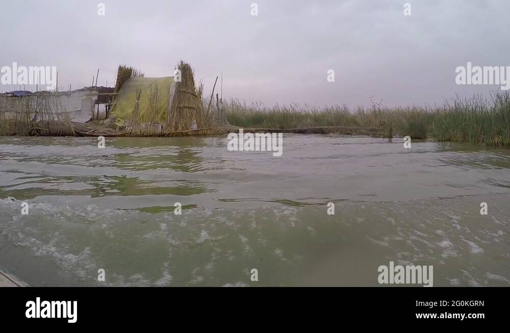 Marsh arab Stock Videos & Footage - HD and 4K Video Clips - Alamy