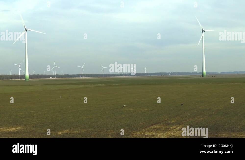 Typical dutch tower mill Stock Videos & Footage - HD and 4K Video Clips ...