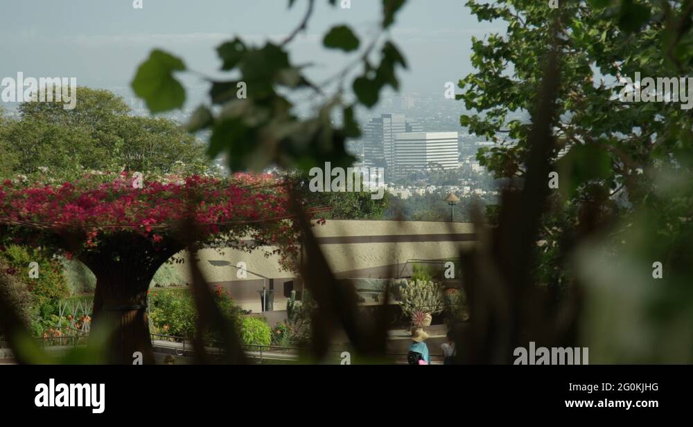 Rebar trees behind leaves, Getty Park Stock Video Footage - Alamy