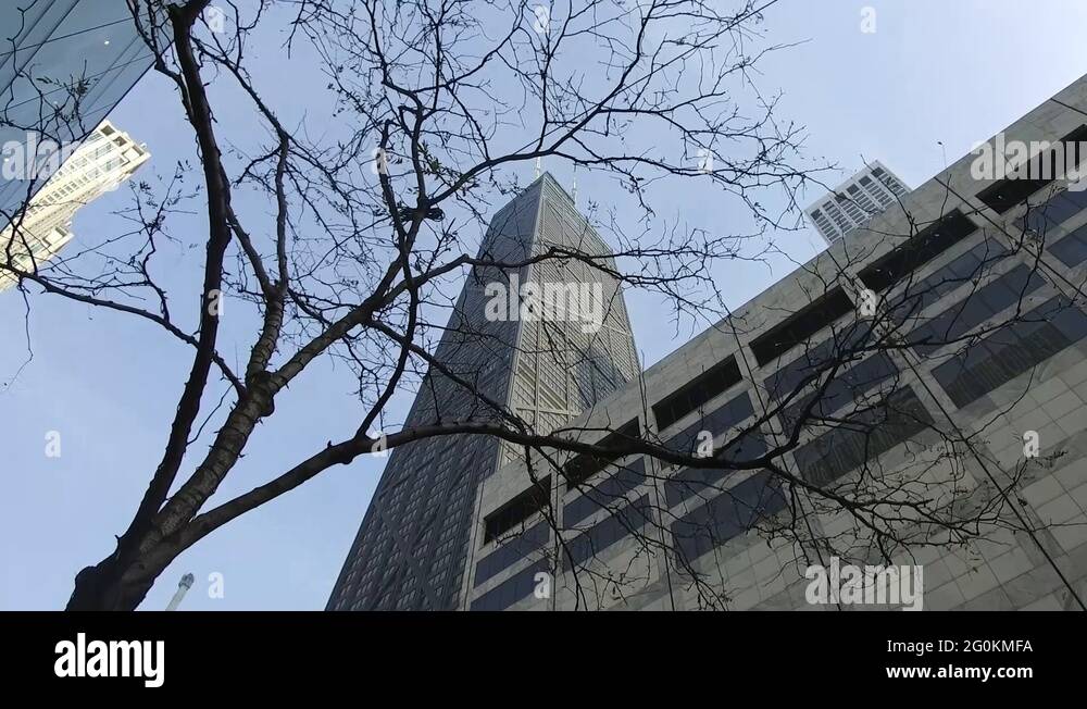 Building From Below Behind Tree In Black Light - Slide - Right To Left ...