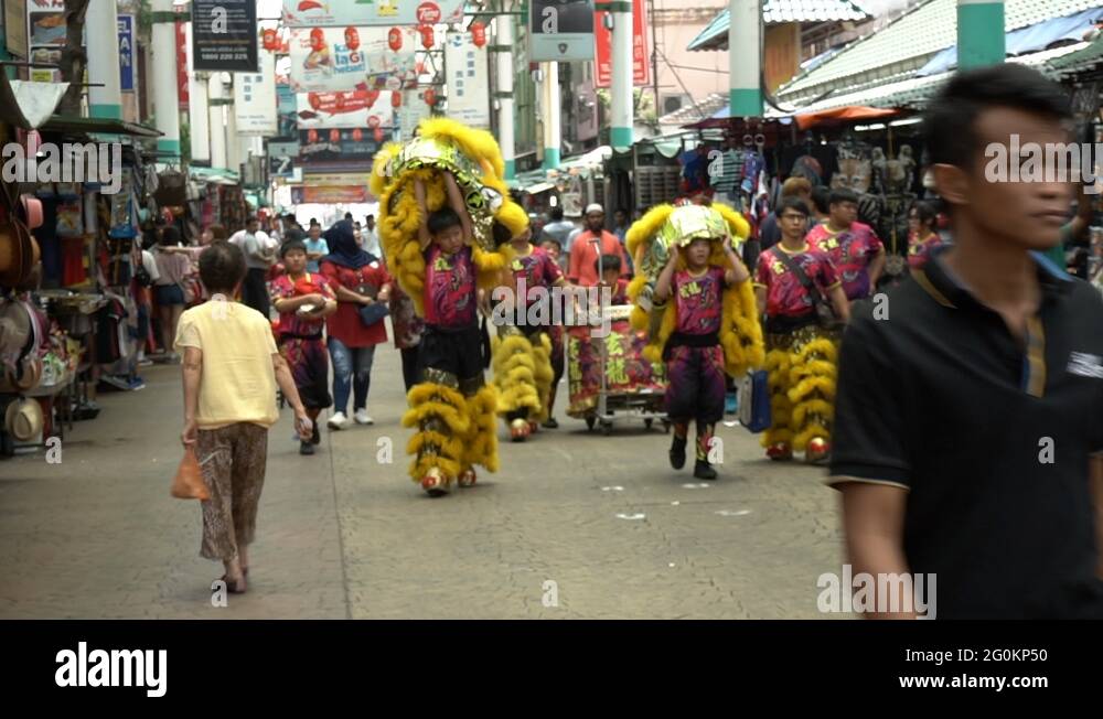 Fake lion Stock Videos & Footage - HD and 4K Video Clips - Alamy