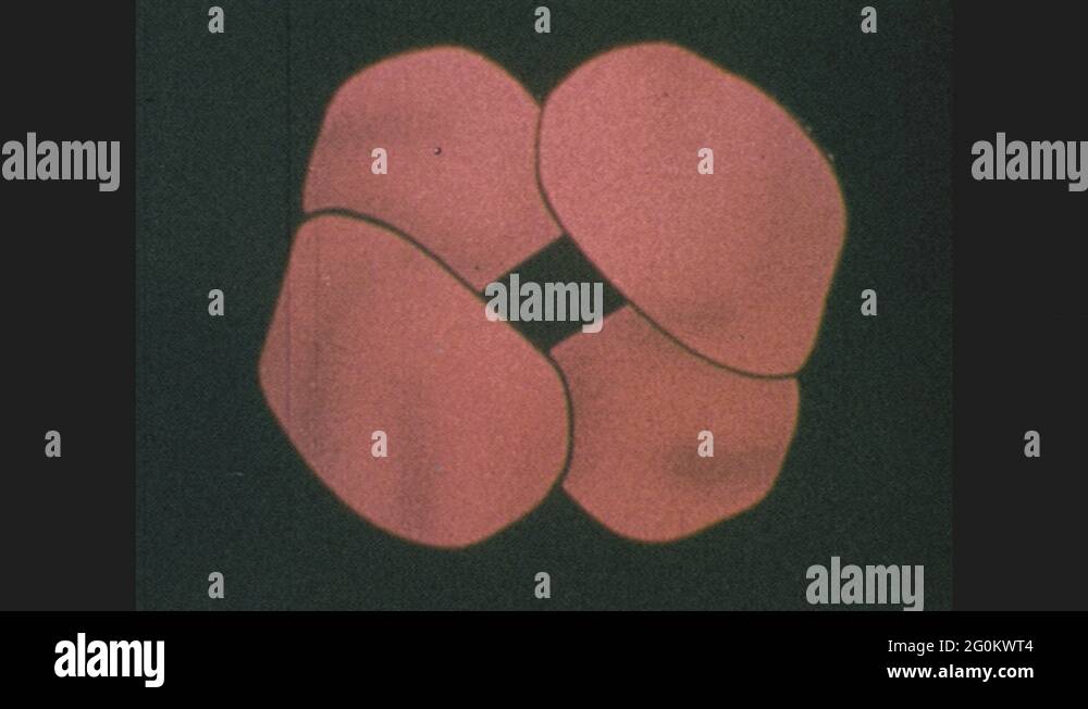 Iron molecule structure Stock Videos & Footage - HD and 4K Video Clips ...
