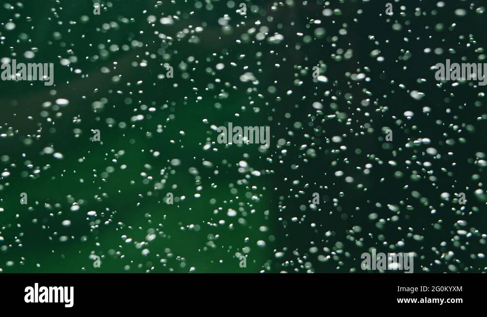 Bubbles floating in water Stock Videos & Footage - HD and 4K Video ...