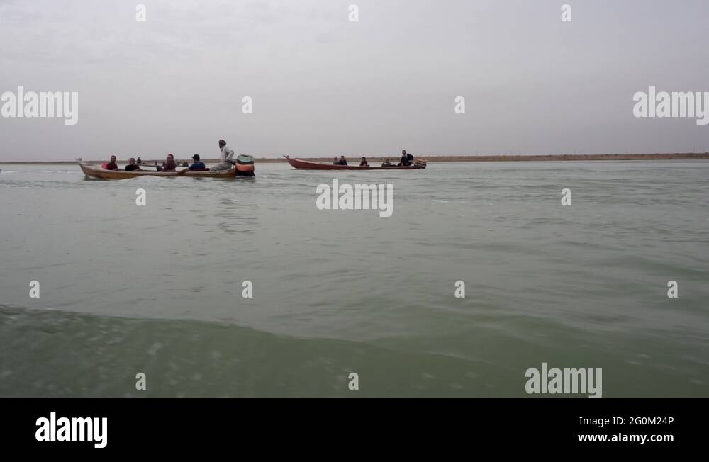 Al marsh Stock Videos & Footage - HD and 4K Video Clips - Alamy