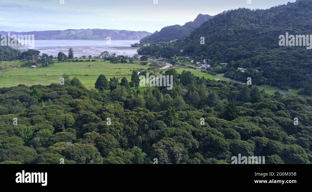 Waitakere ranges Stock Videos & Footage - HD and 4K Video Clips - Alamy