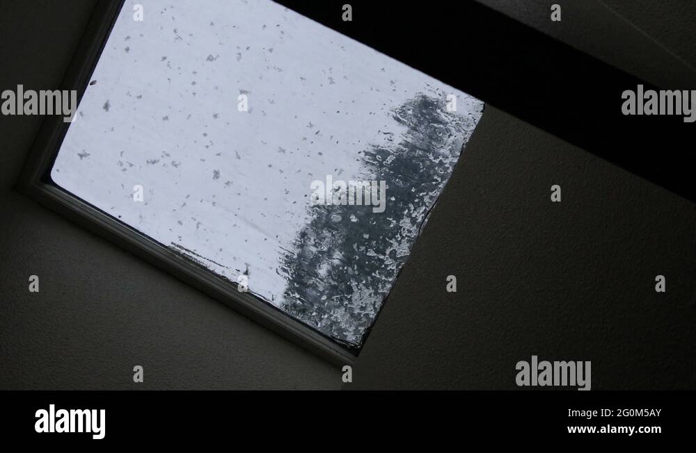 Tree skylight Stock Videos & Footage - HD and 4K Video Clips - Alamy