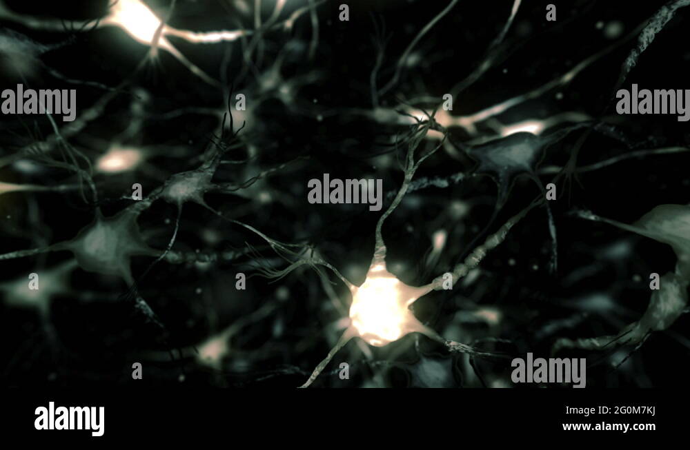 Network of nerves Stock Videos & Footage - HD and 4K Video Clips - Alamy