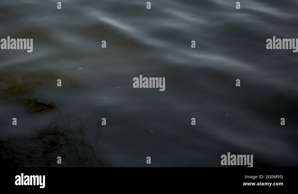 Water displacement Stock Videos & Footage - HD and 4K Video Clips - Alamy