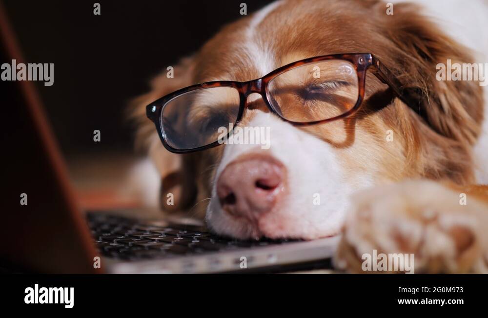 Overstrain Stock Videos & Footage - HD and 4K Video Clips - Alamy