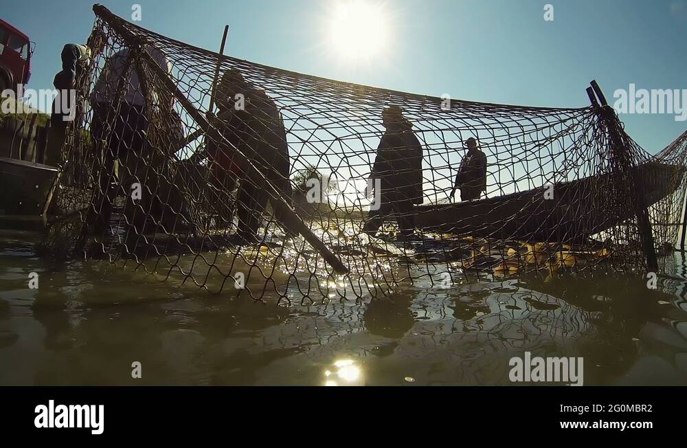 Freshwater fish farming Stock Videos & Footage - HD and 4K Video Clips ...