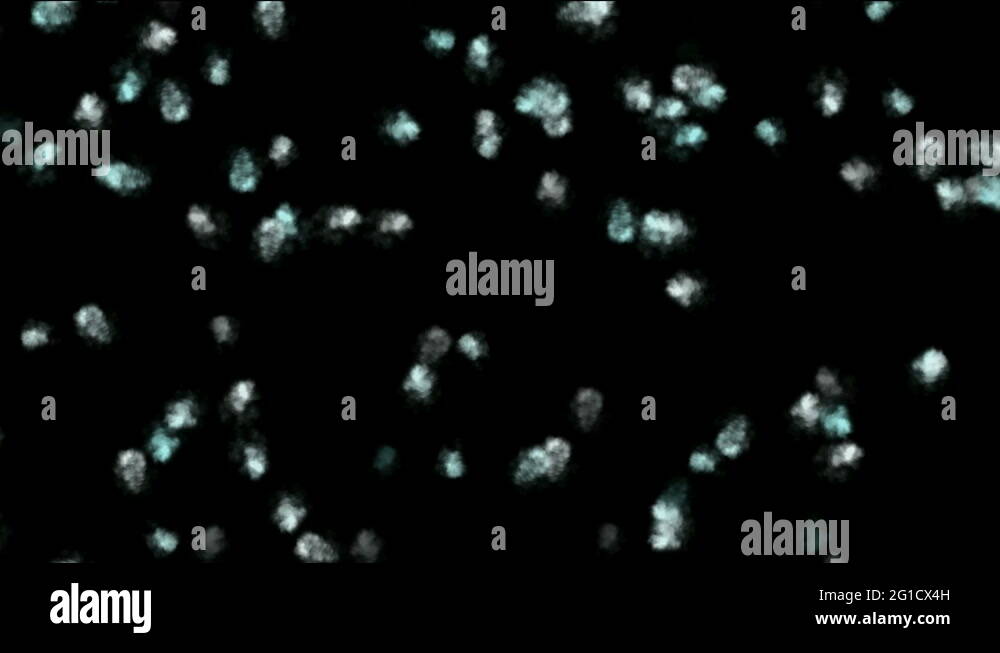 Floating plankton & micro algae,worm insect flies particle art ...