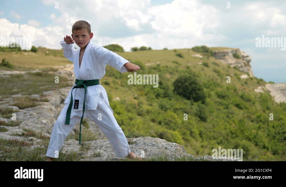 Boy practicing karate Stock Videos & Footage - HD and 4K Video Clips ...