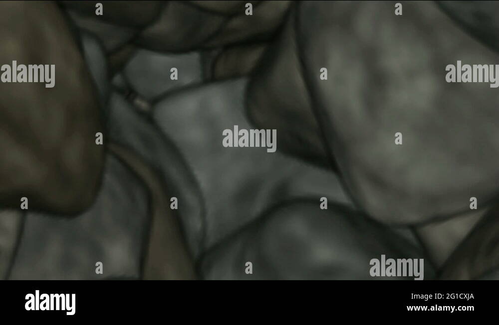 Stone scroll pattern Stock Videos & Footage - HD and 4K Video Clips - Alamy