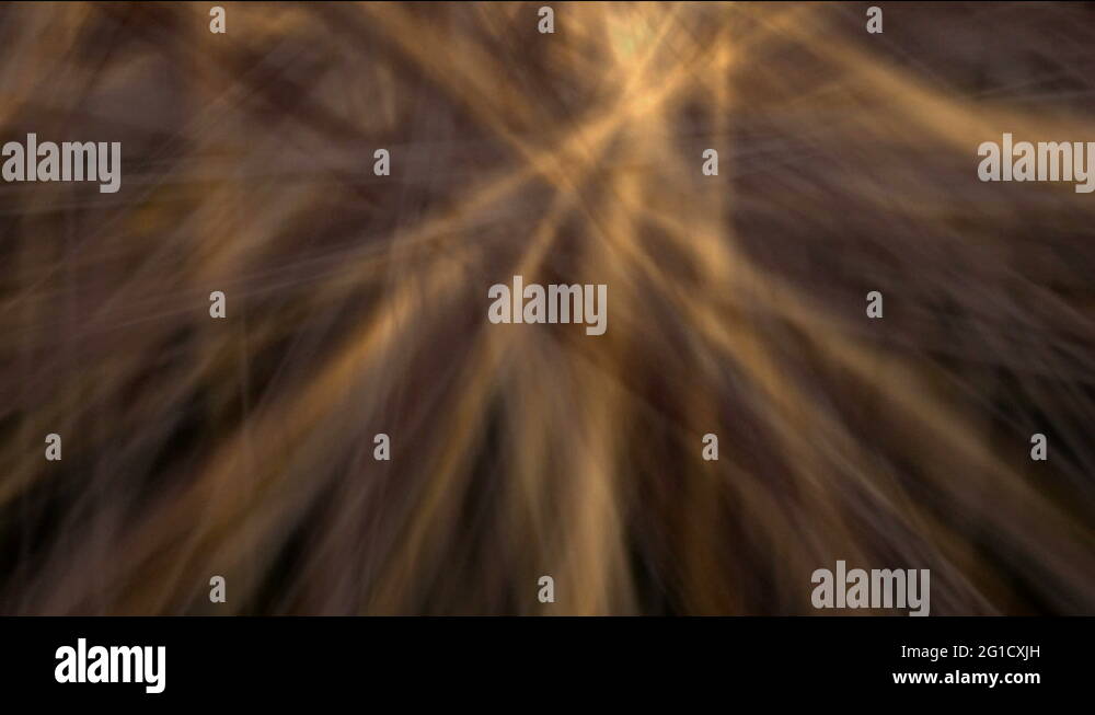 golden ray laser fiber line under sunlight,science future lights energy ...