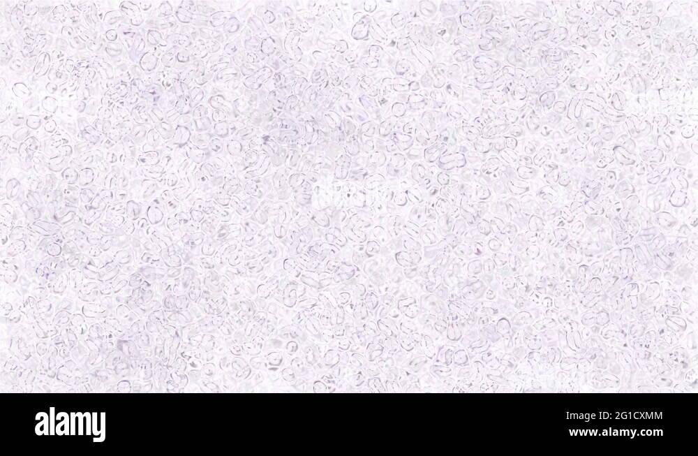 Microbe texture Stock Videos & Footage - HD and 4K Video Clips - Alamy